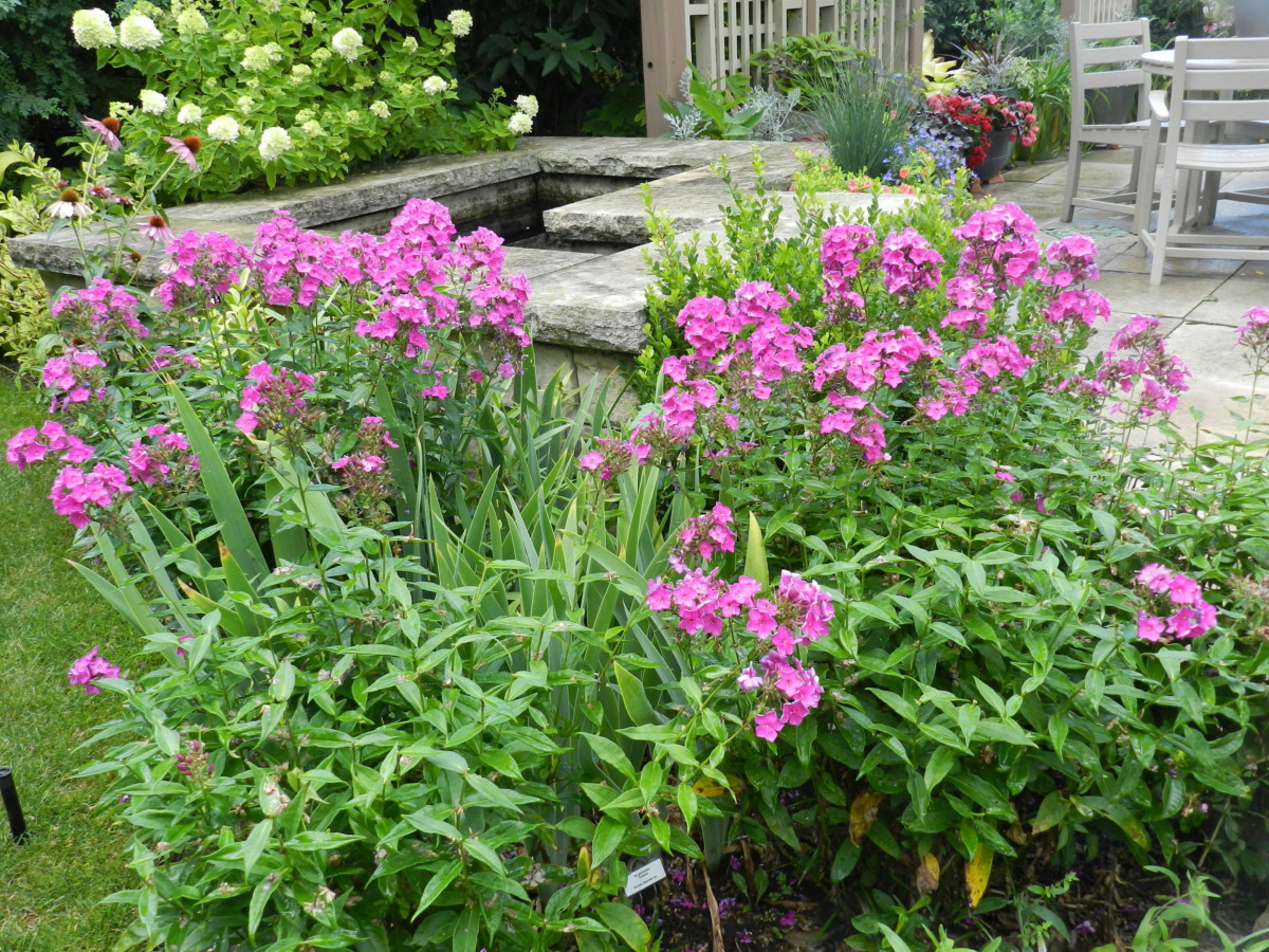 Visiting the Heartland | Bobbie's Green Thumb